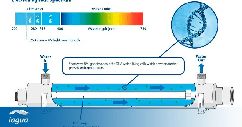 Lámpara Uv Para Agua: Precio Y Beneficios Del Tratamiento | La Pantalla